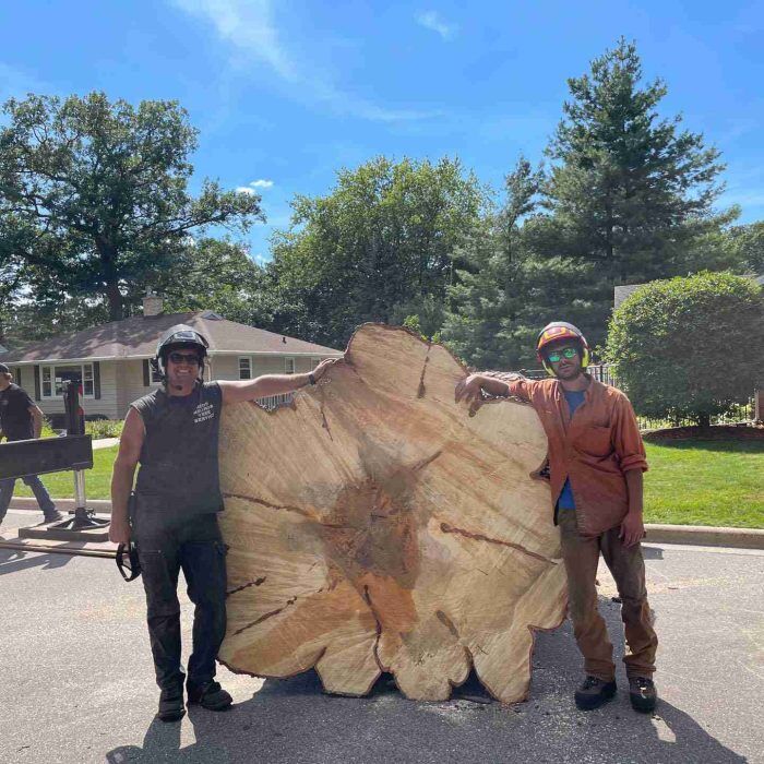 Tree Services in Madison, WI - Reon Rounds Tree Service